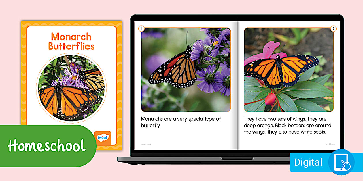 Monarch Butterflies eBook | Twinkl USA (teacher made)