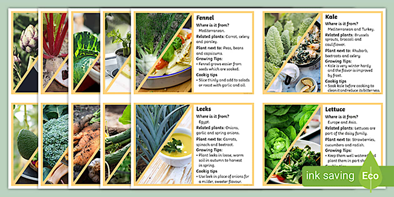 School Garden Vegetable Fact Cards