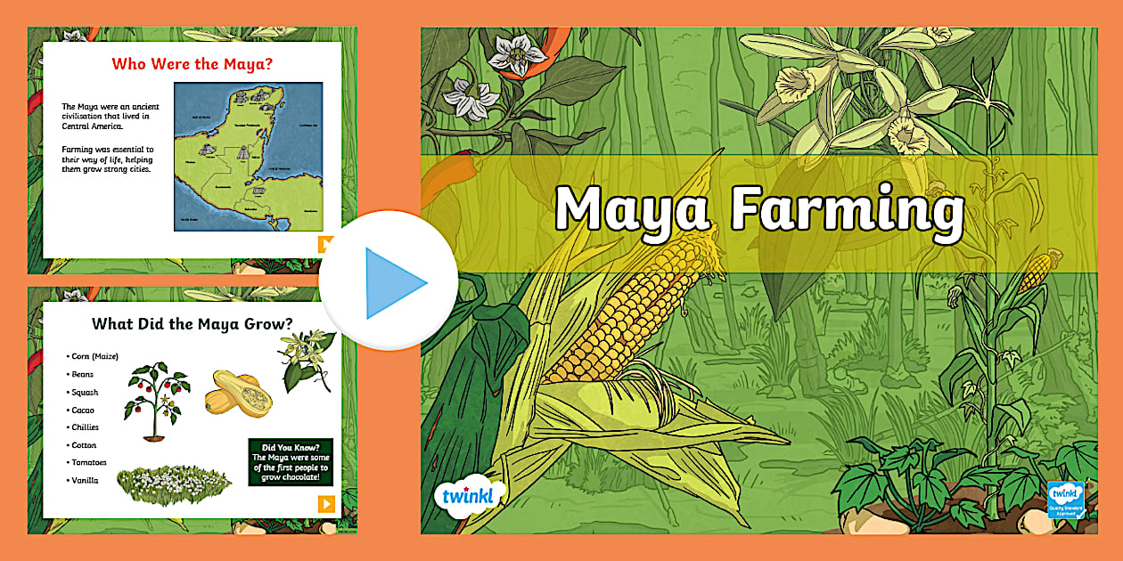 Maya Farming Informational PowerPoint (teacher made)