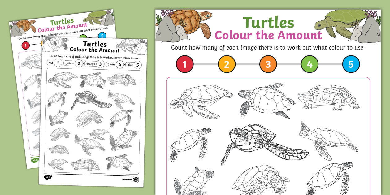 👉 Turtles Colour the Amount Worksheet - Twinkl