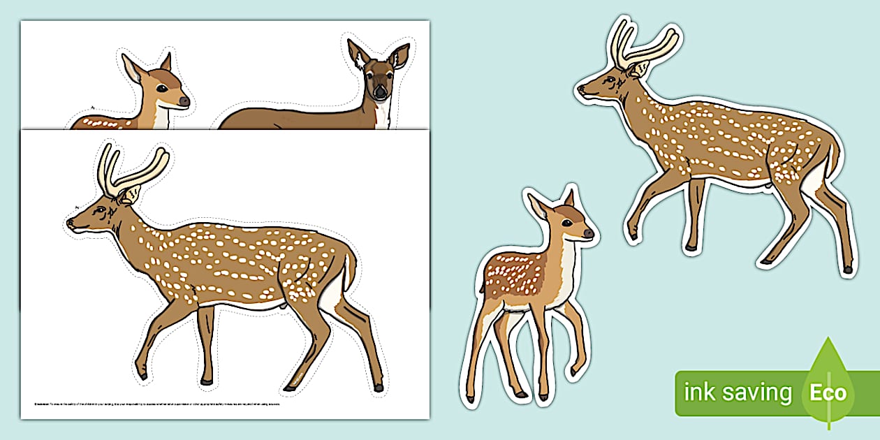 Deer Display Cut-Out (teacher made) - Twinkl