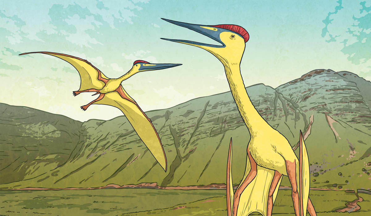 Dino-Soar! - Twinkl NewsRoom - Twinkl