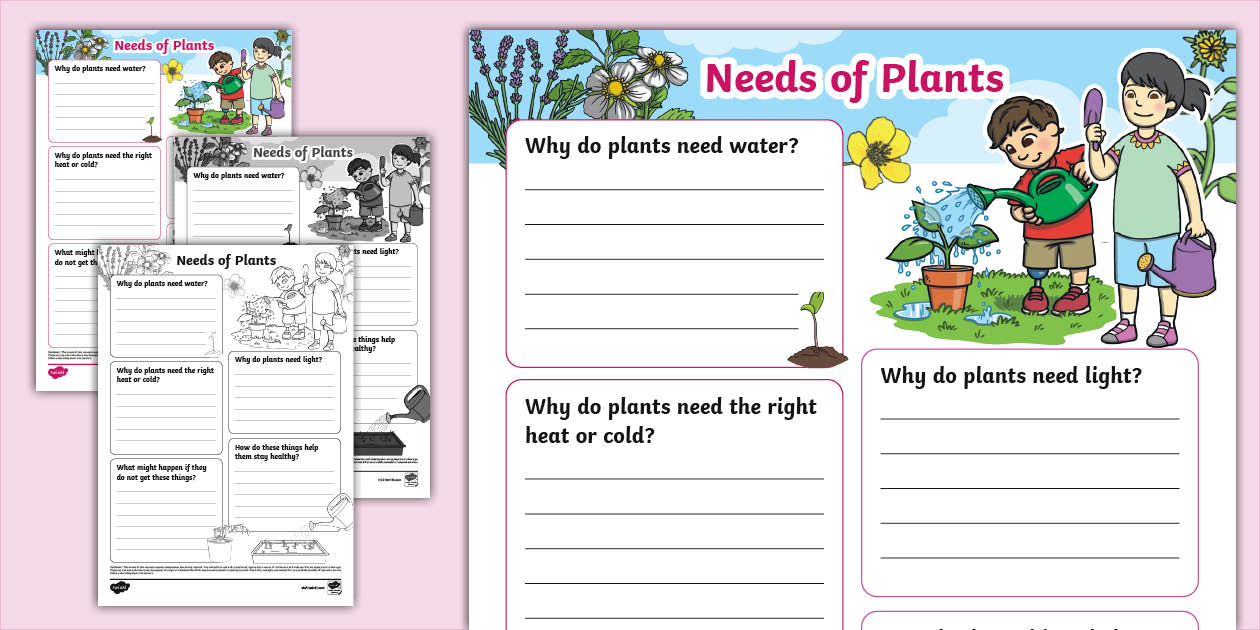 KS1 Needs of Plants Fact File Template - Twinkl