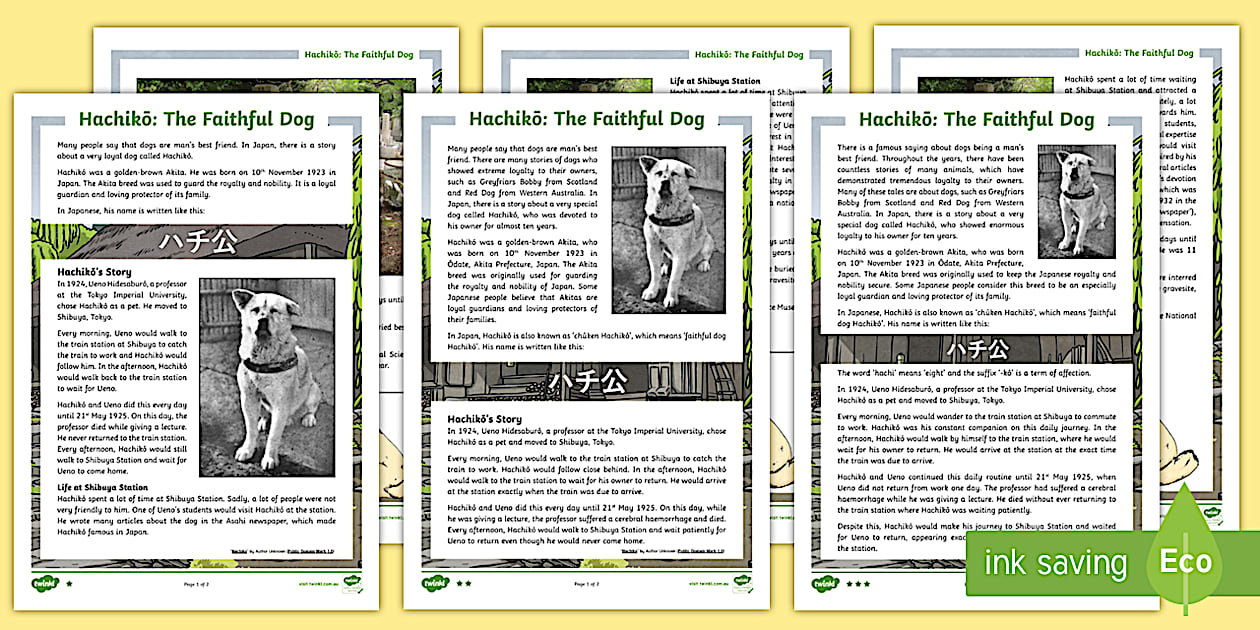 Hachikō Differentiated Fact File (teacher made) - Twinkl