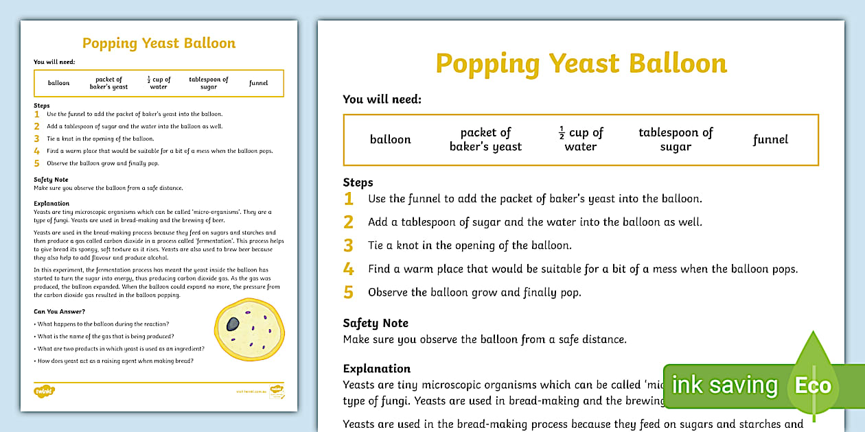 Exploding Yeast Balloon Science Experiment (teacher made)