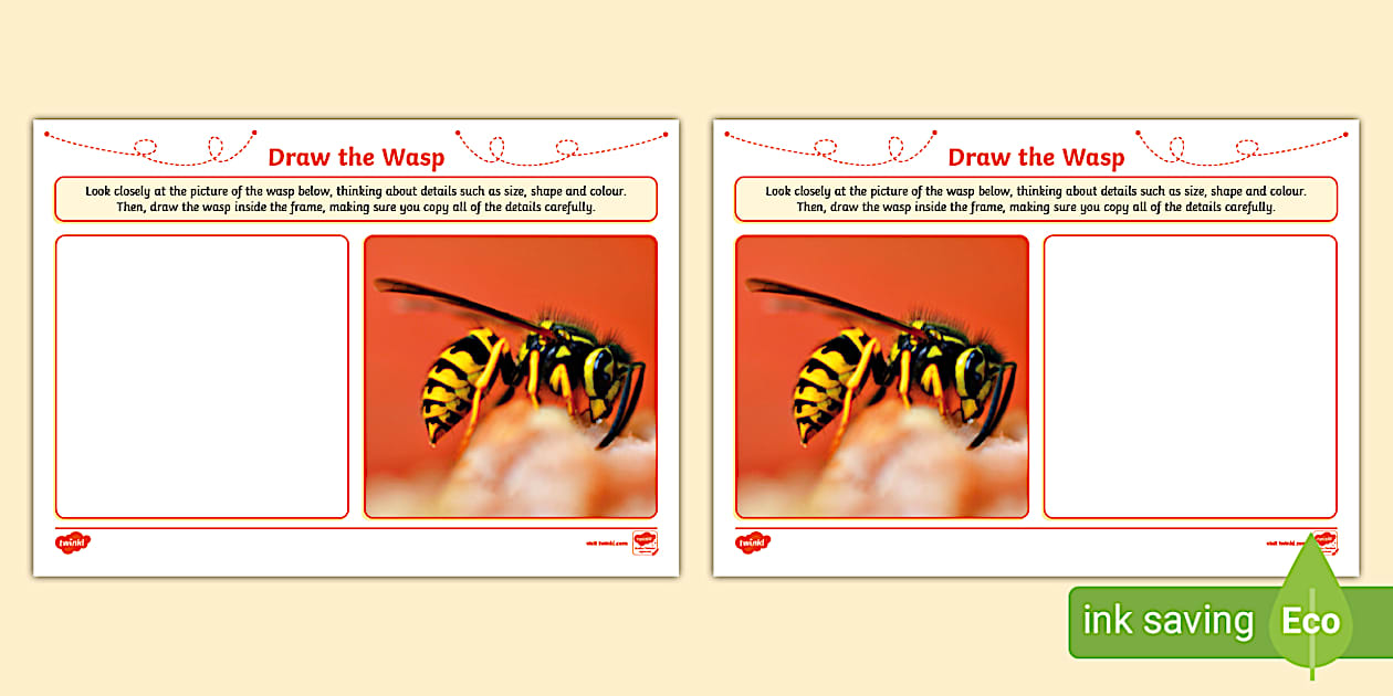 Draw the Wasp Art Activity (teacher made) - Twinkl