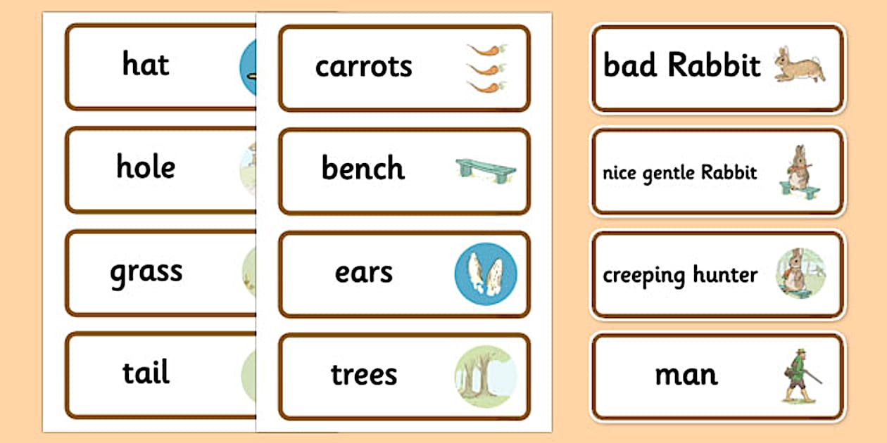 Editable The Story of a Fierce Bad Rabbit Word Cards