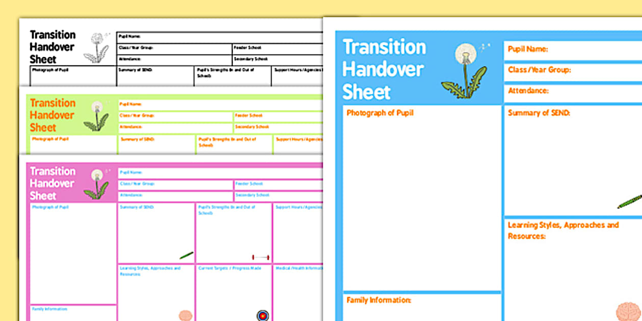 Black and White SEN Transition Handover Sheet (teacher made)