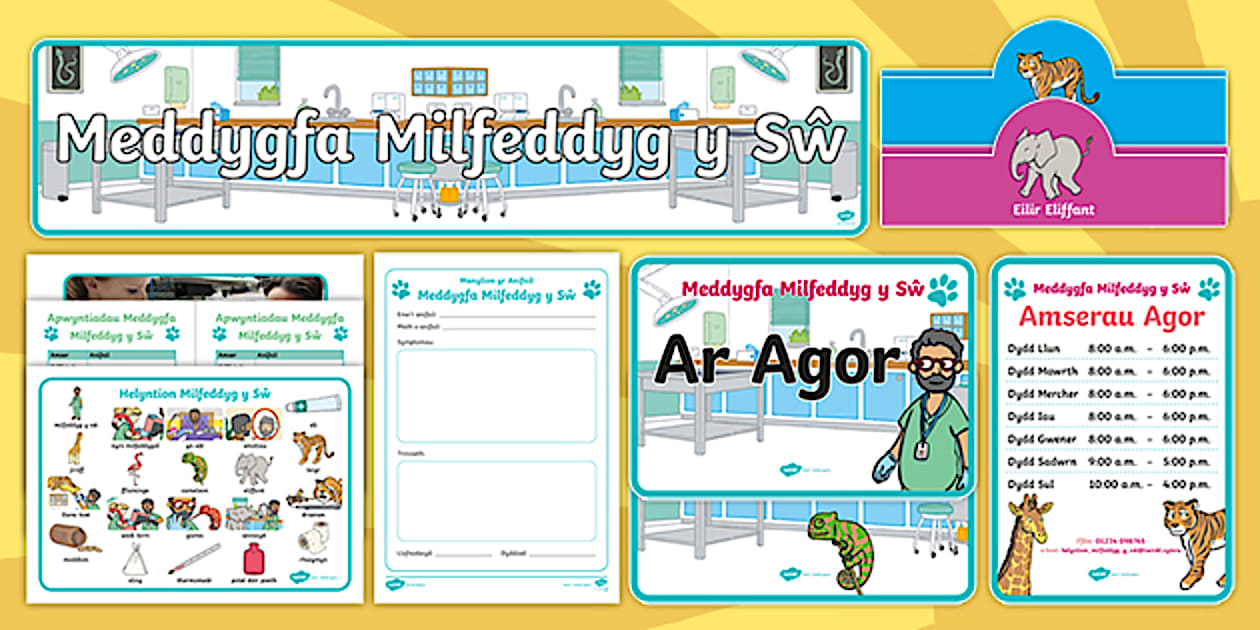 Pecyn Chwarae Rôl Milfeddyg y Sŵ (teacher made) - Twinkl