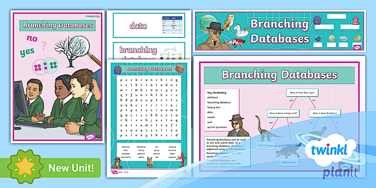 Computing: Branching Databases Year 3 Additional Resources Pack