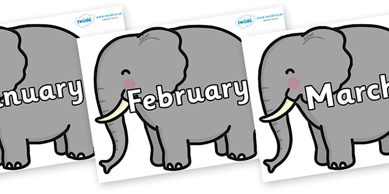 Months of the Year on Elephants (teacher made) - Twinkl