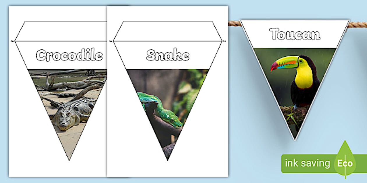 Jungle and Rainforest Display Photo Bunting (teacher made)