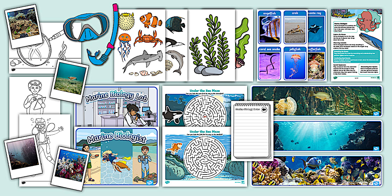 Marine Biologist Role Play Pack - Twinkl
