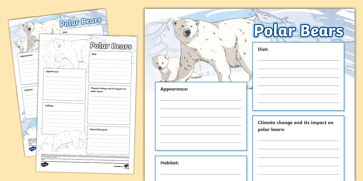 KS2 Polar Bear Fact File Template (teacher made) - Twinkl