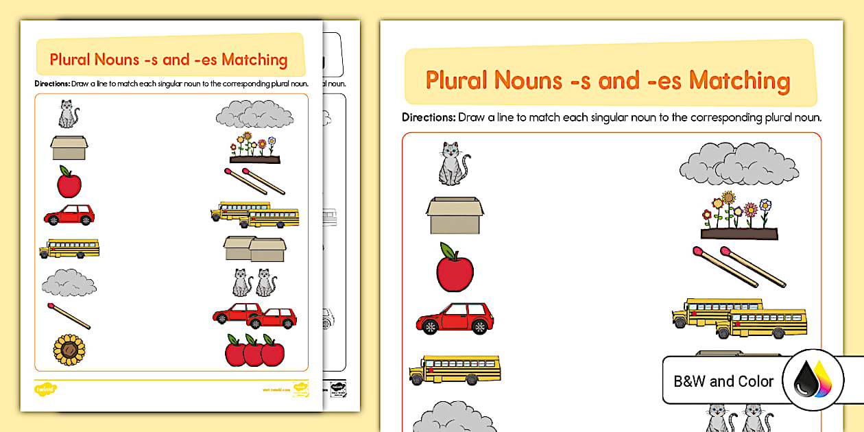 Kindergarten Plural Nouns -s and -es Matching Worksheet