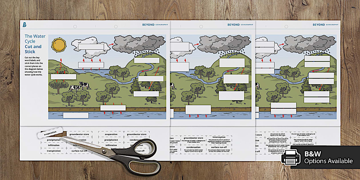 KS3 Geography: Water Cycle Cut and Stick Activity - Twinkl