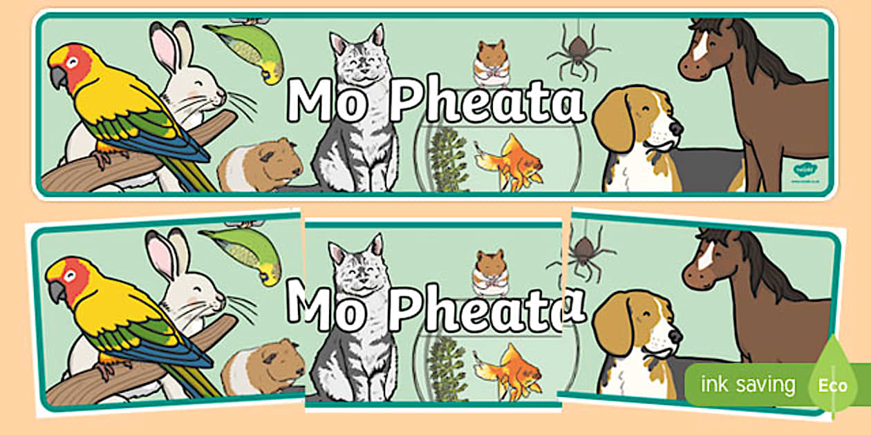 Mo Pheata Display Banner-Irish (teacher made) - Twinkl