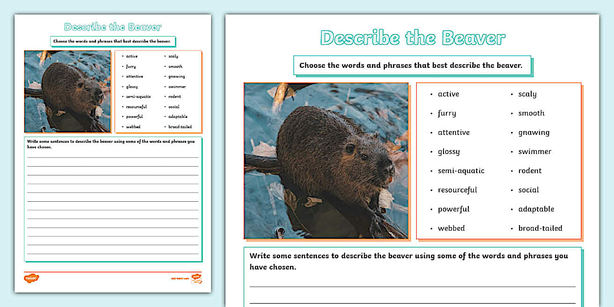 Describe the Beaver Worksheet (teacher made) - Twinkl