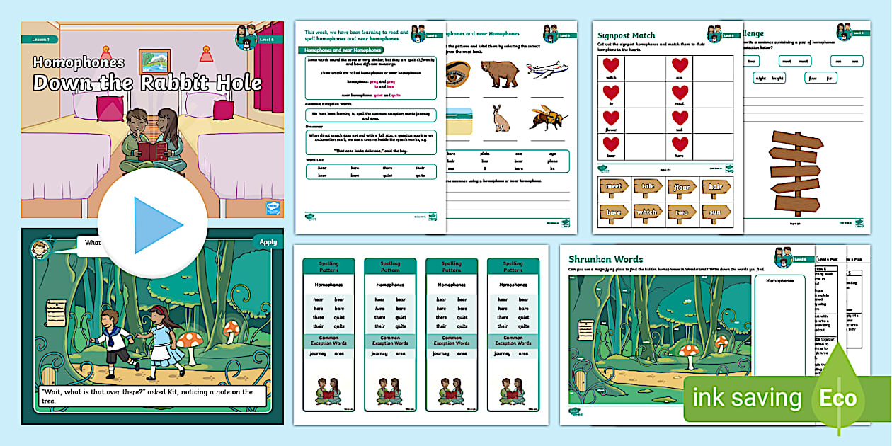 Homophones and Near Homophones Lesson Pack (teacher made)