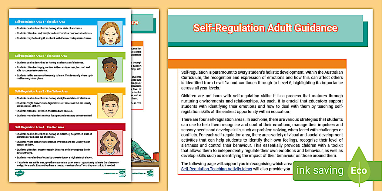 Self-Regulation Adult Guidance (teacher made) - Twinkl