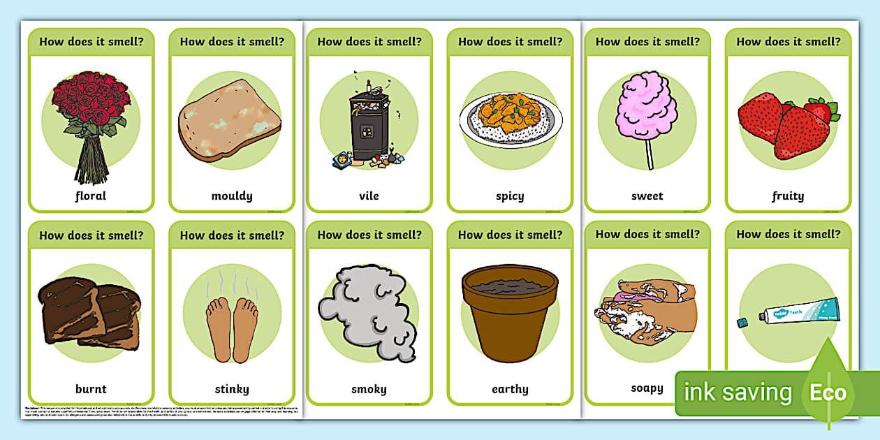 Smell Sensory Flashcards - Senses - KS1 (teacher made)