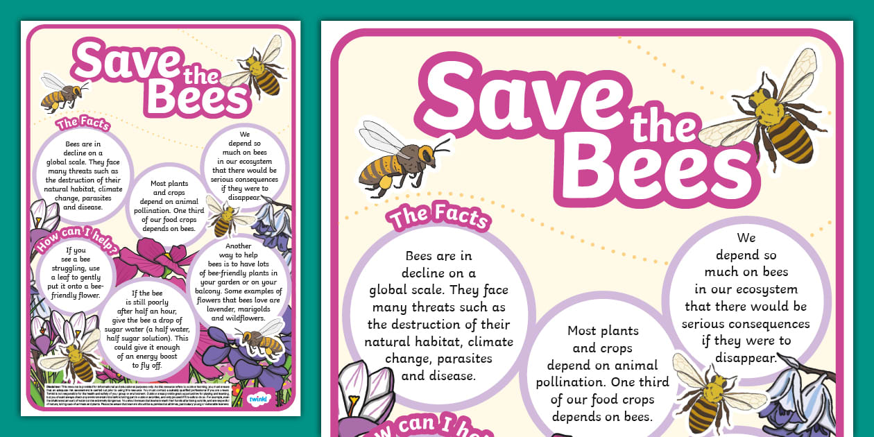 World Bee Day Save the Bees Poster (teacher made) - Twinkl