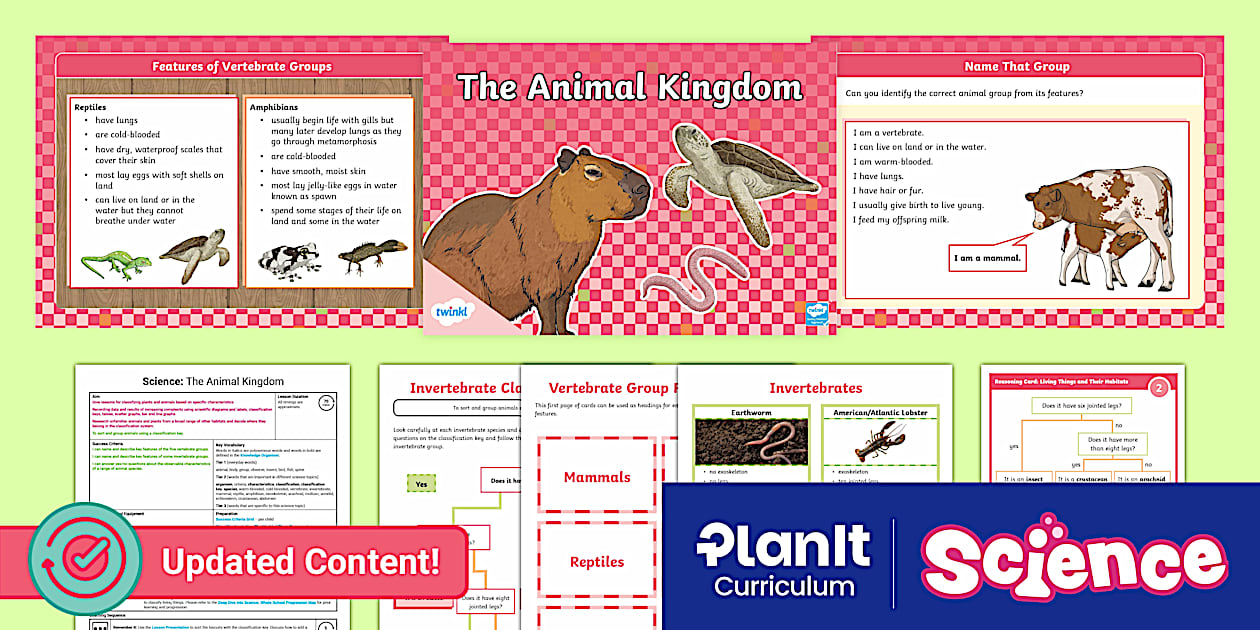 Y6 Living Things and Their Habitats The Animal Kingdom Lesson 2