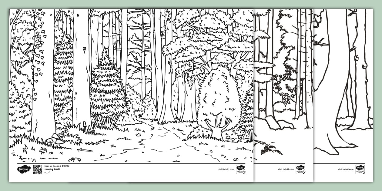 Printable Forest Colouring Pages | Woodland Colouring Sheets