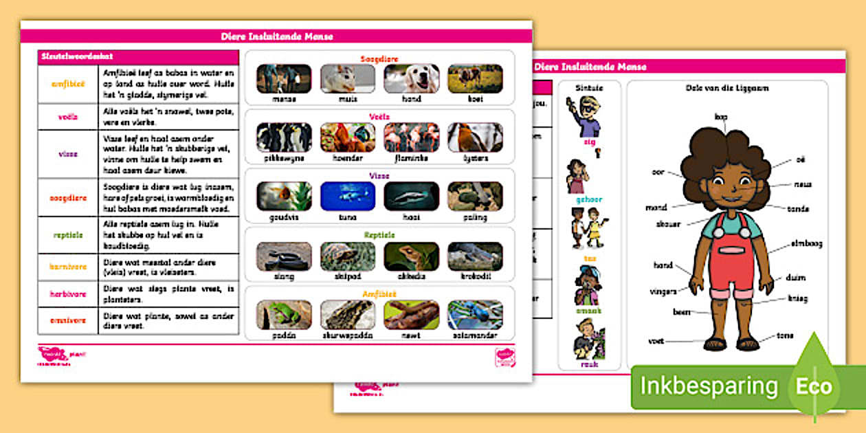 Diere en Mense: Hersieningsopsomming - Twinkl