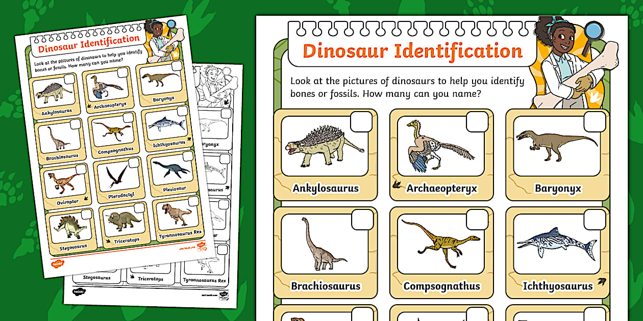Dinosaur Identification Worksheet