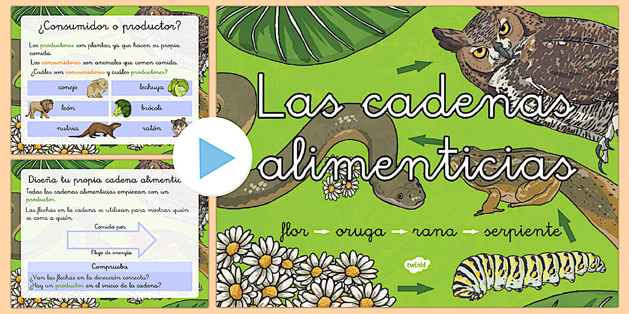 Presentación: Las cadenas alimenticias - Twinkl