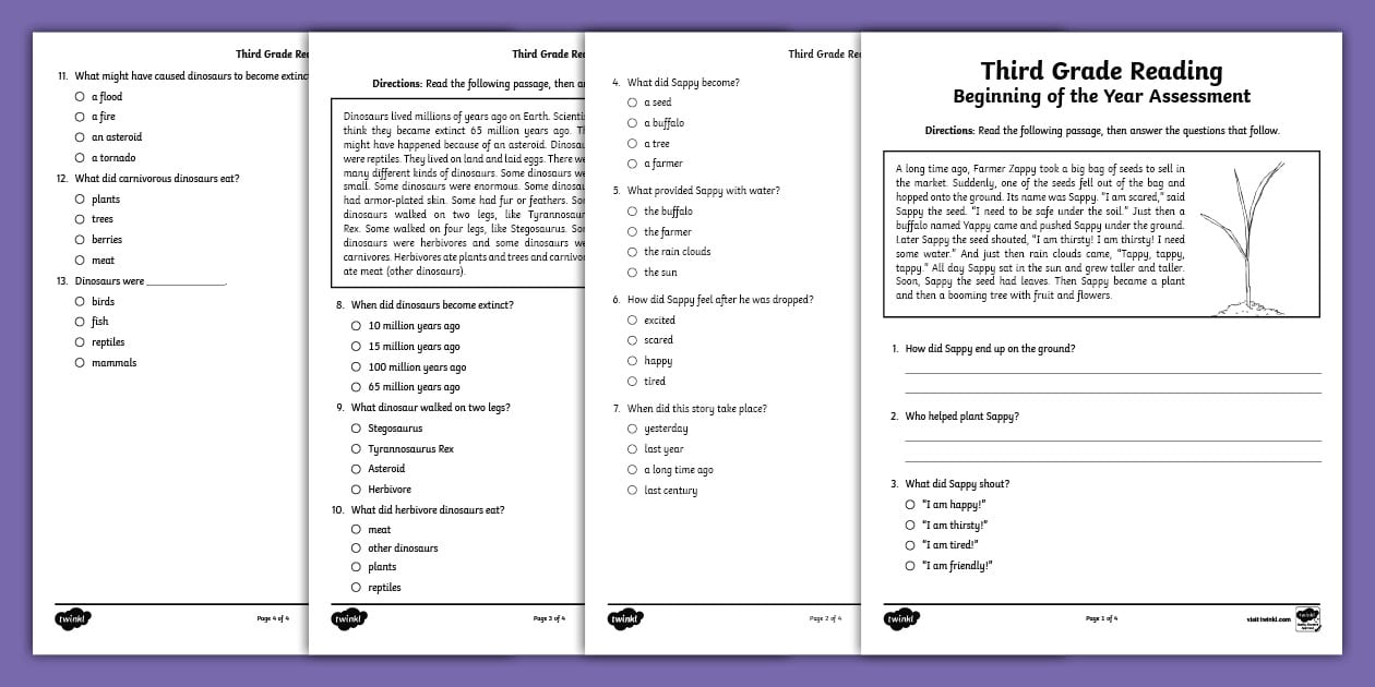 Third Grade Beginning of the Year ELA Reading Assessment