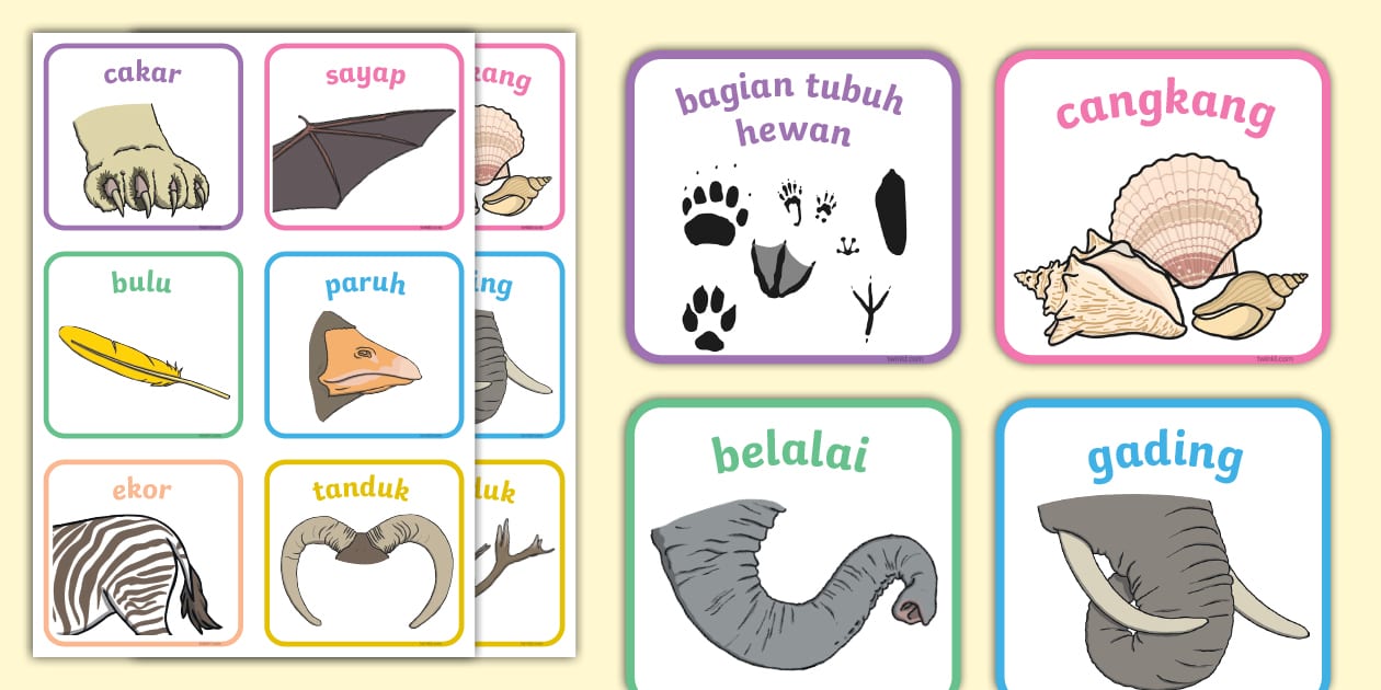 Animal Body Parts Flashcards - Indonesian - Twinkl