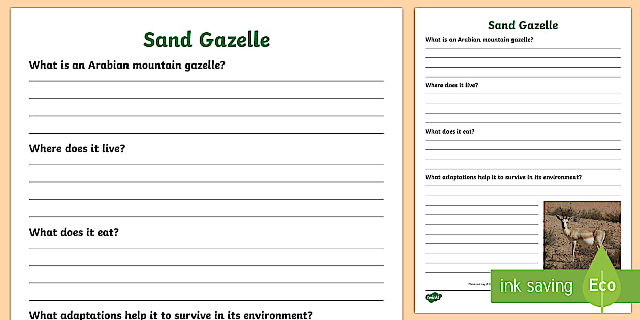 Editable Sand Gazelle Template for Report Writing - Twinkl