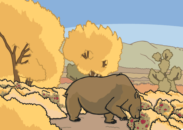 What is a Season? | Twinkl Teaching Wiki - Twinkl