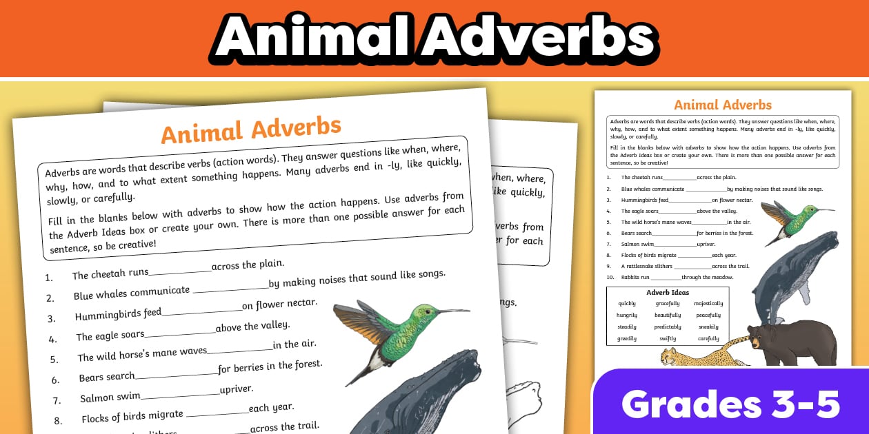 Animal Adverbs Worksheet for 3rd-5th Grade