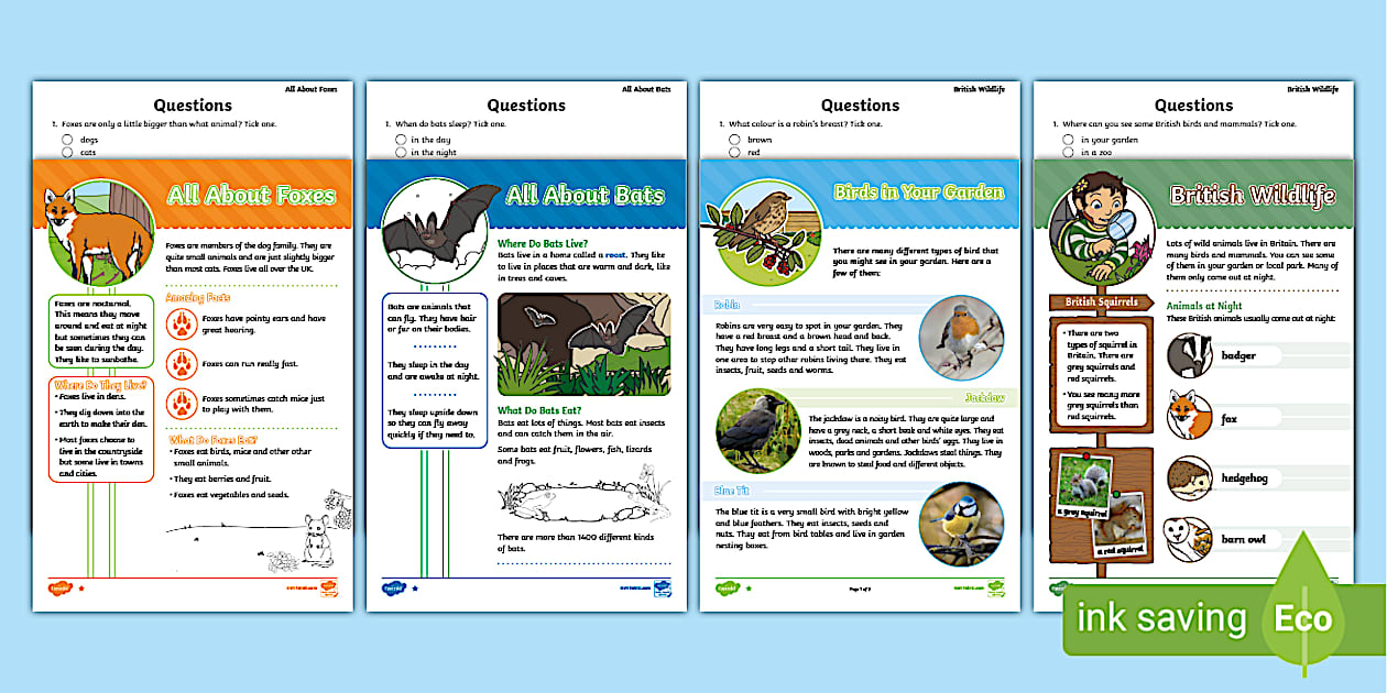 KS1 British Wildlife Bumper Reading Comprehension Pack
