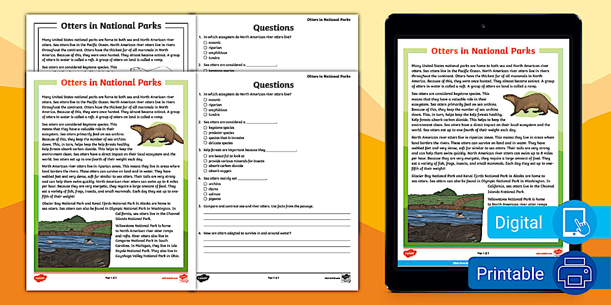 Otters in National Park Reading Comprehension Worksheet