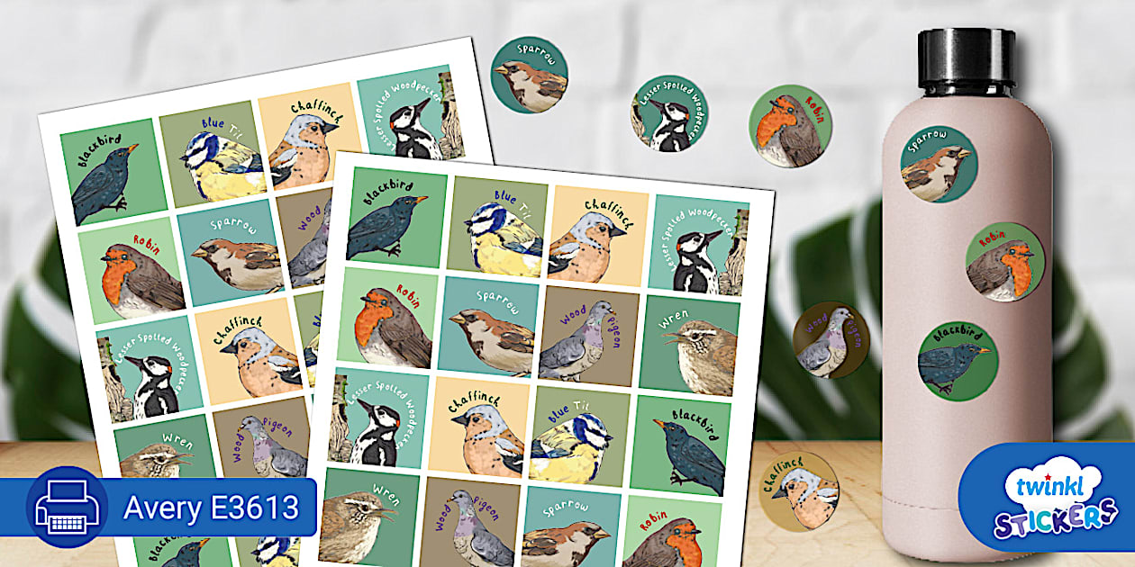 Big Schools' Birdwatch - British Bird Stickers - Twinkl