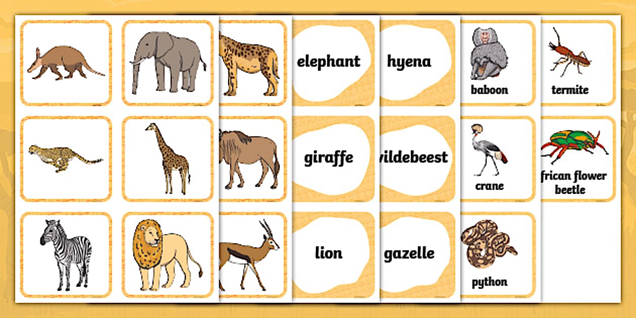 African Savanna Animals Matching Cards (creat de profesori)