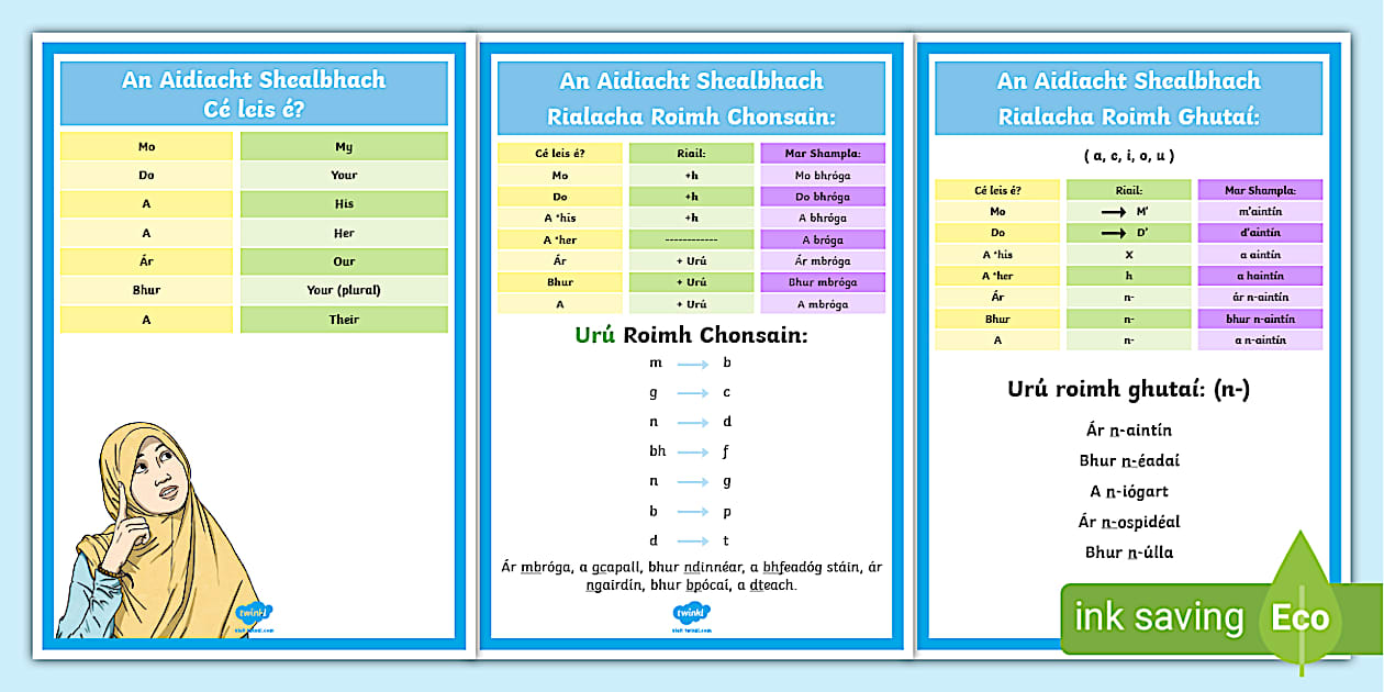Possessive Adjectives in Irish | An Aidiacht Shealbhach