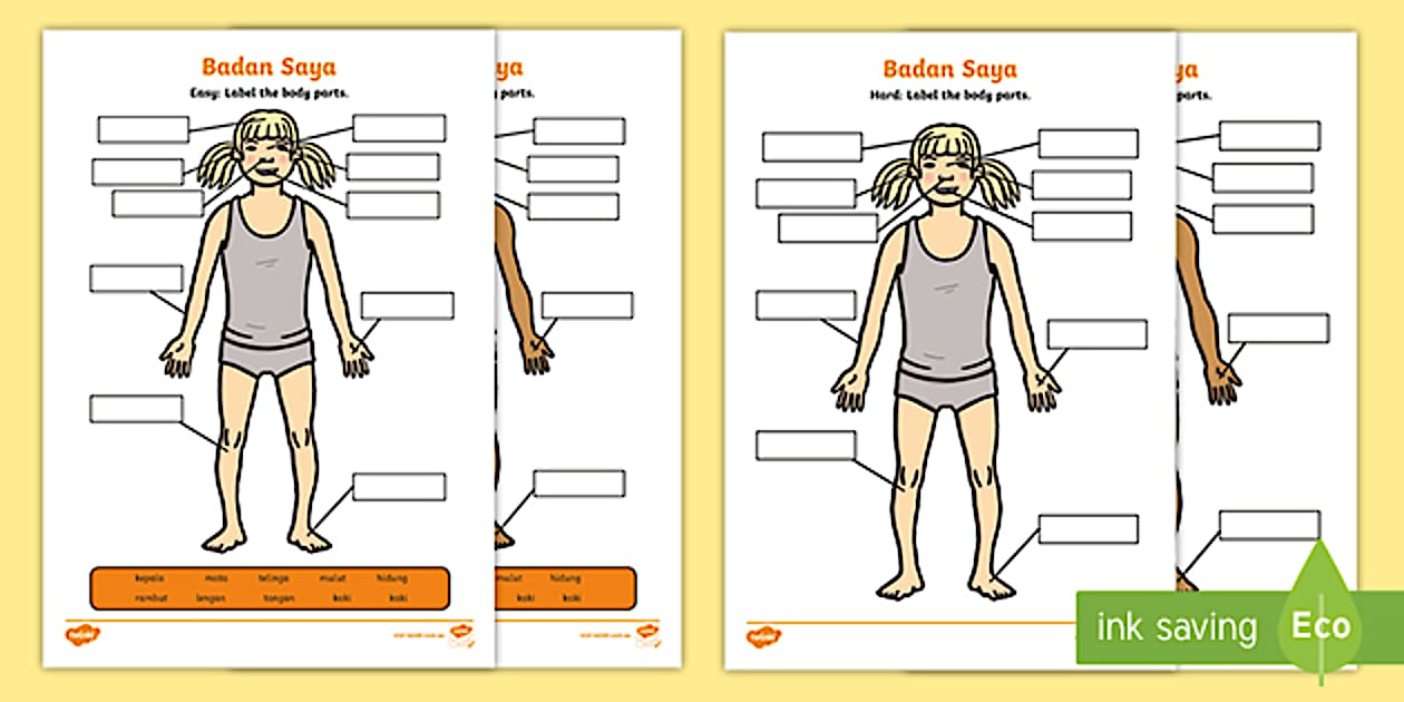 NSW My Body Labelling Activity Indonesian (teacher made)
