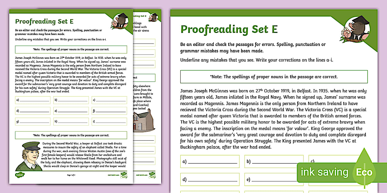 Proofreading Set E Activity Sheets (teacher made) - Twinkl