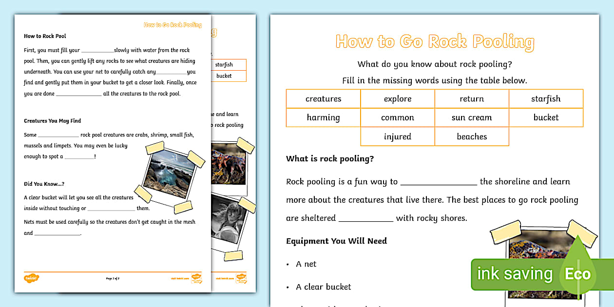How to Go Rock Pooling Cloze Activity (teacher made)