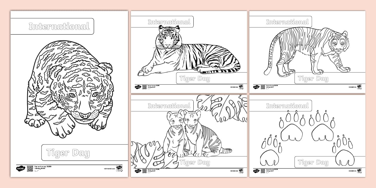 International Tiger Day Colouring Sheets - Twinkl - KS1
