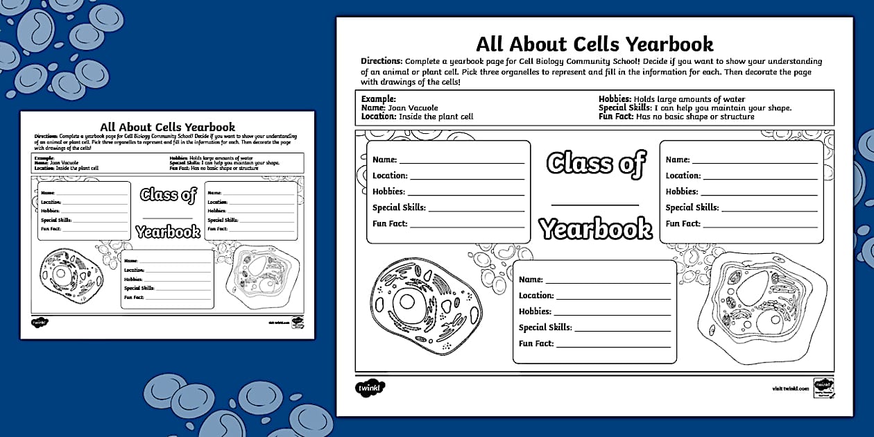 All About Cells KWL Graphic Organizer for 6th-8th Grade