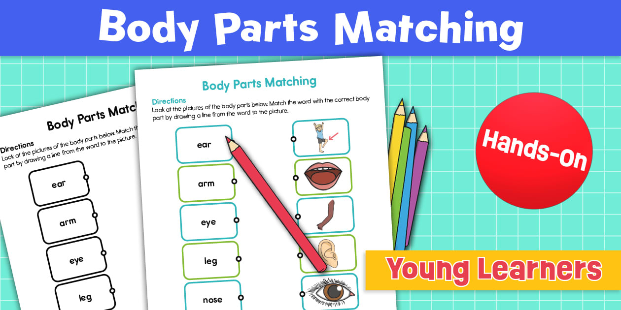 Prekindergarten Body Parts Matching Worksheet - Twinkl