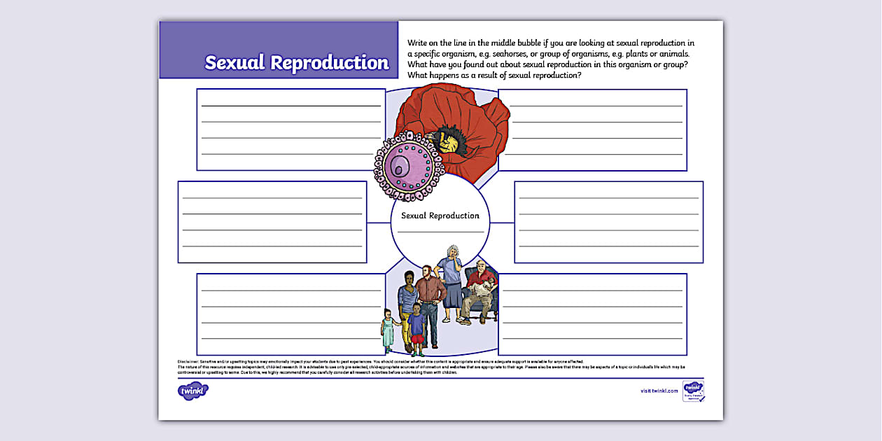 Sexual Reproduction Mind Map (teacher made) - Twinkl