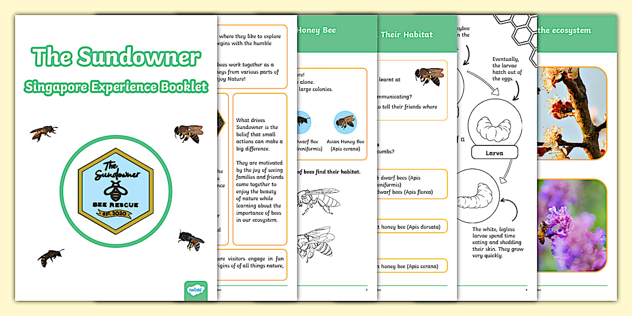 Conservation Educational Booklet for children - Twinkl