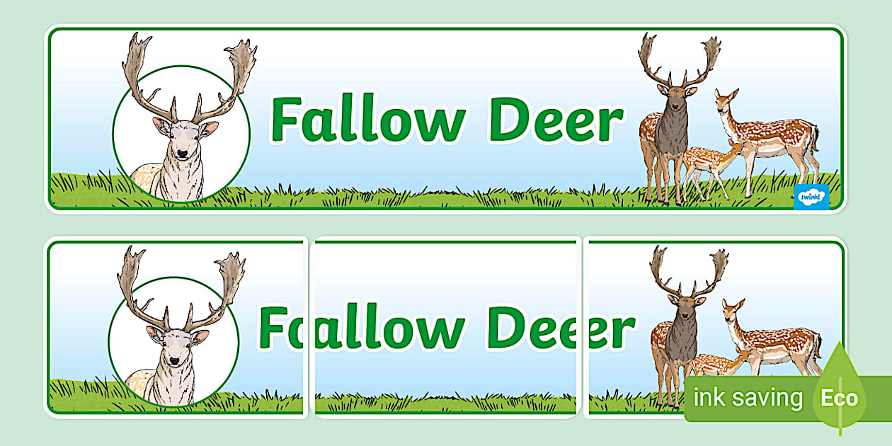 Fallow Deer Woodland Banner (Teacher-Made) - Twinkl